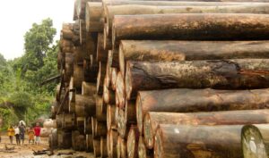 Everything You Need to Know Before Starting A Business In Liberia